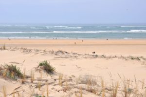 Visit Cap Ferret : 6 Must-see Spots & Itinerary - La Marinière en Voyage