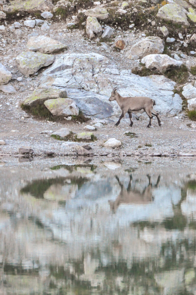 Tour des aiguilles rouges en 4 jours : le guide complet - La Marinière ...